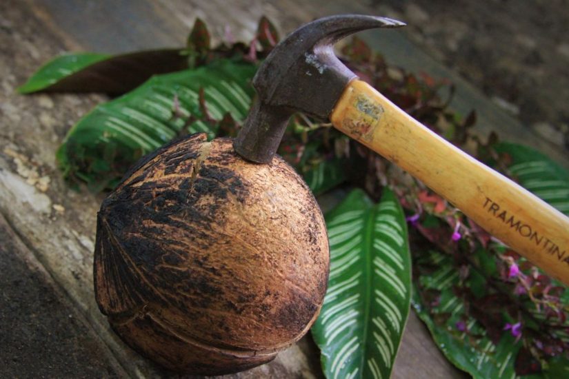 COMO FAZER FARINHA DE COCO E LEITE DE COCO - Receitas saudáveis com a ...
